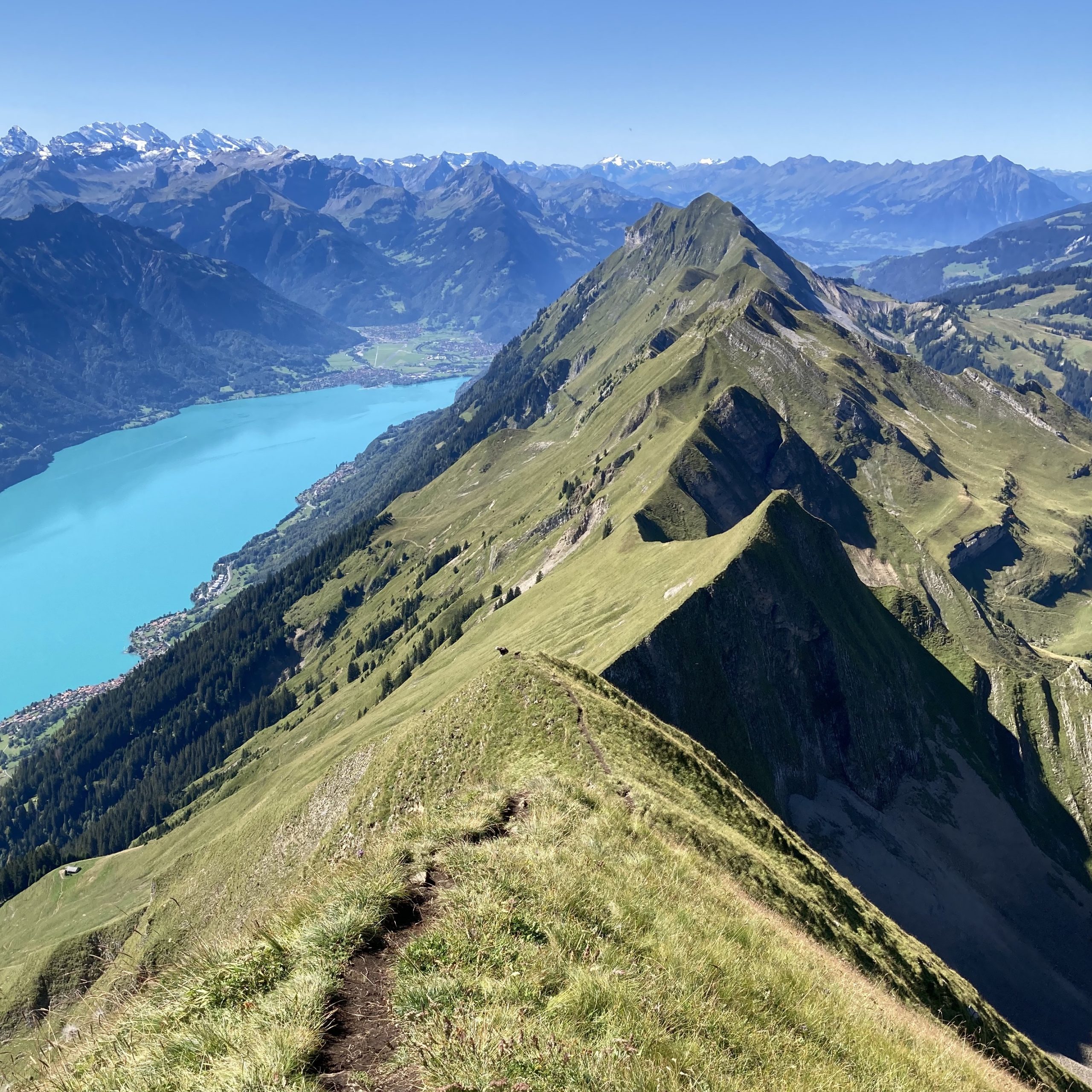 Hike #38 / Brienzer Rothorn – Harder Kulm – intellectualsovereignty